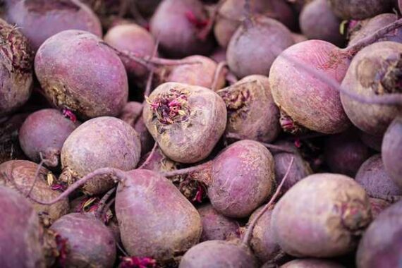 Growing Beetroot in Pots [How to Grow Beetroot in Containers]