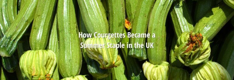 How Courgettes Became a Summer Staple in the UK - Lets Grow Cook